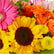 Florist Original Mixed Bouquet – flower arrangement | Lubbock, TX ...